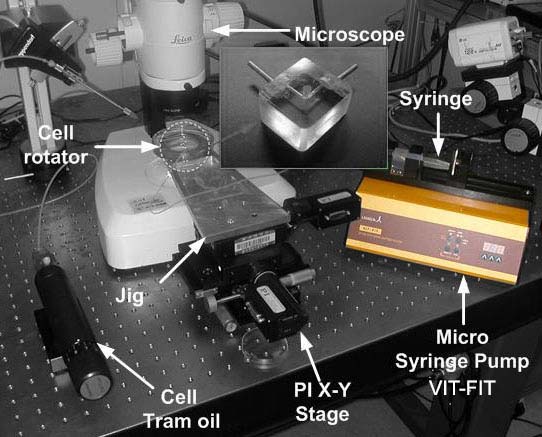 Publications as References for laboratory syringe pumps - LAMBDA VIT-FIT & VIT-FIT HP syringe pumps